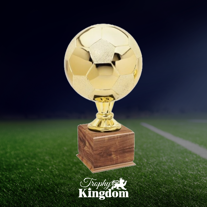 Gold Soccer Ball on Base — Trophy Kingdom - Most Trusted Trophy Store In Canada