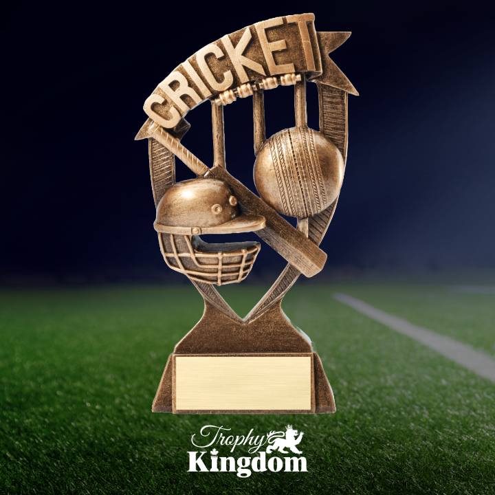 Cricket Banner Trophy — Trophy Kingdom - Most Trusted Trophy Store In ...