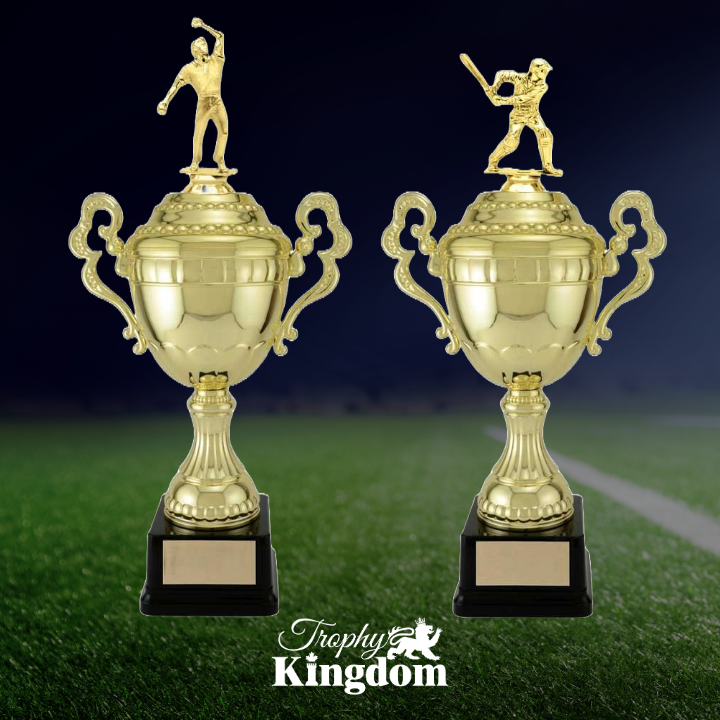 Cricket Gold Plastic Cup Trophy — Trophy Kingdom - Most Trusted Trophy ...