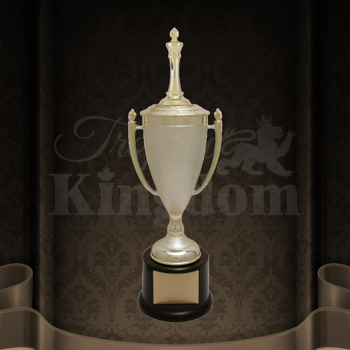 Stipple Classic School Chess Cup Trophy — Trophy Kingdom - Most Trusted ...