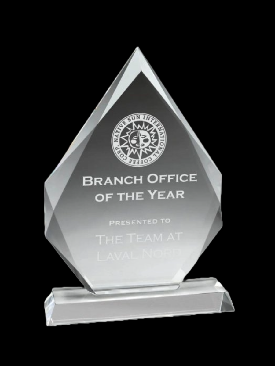 Crystal Arrowhead Trophy 3 Sizes — Trophy Kingdom - Most Trusted Trophy Store In Canada — Trophy ...