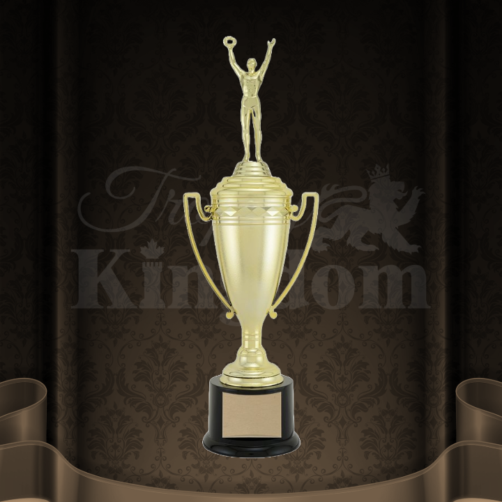Classic School Cup Trophy — Trophy Kingdom - Most Trusted Trophy Store ...