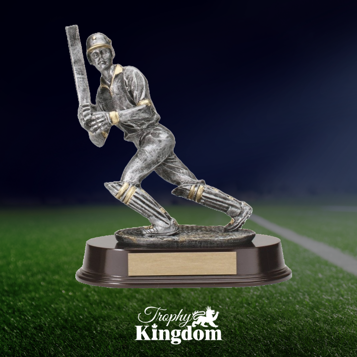 Cricket Batsman Resin Trophy — Trophy Kingdom - Most Trusted Trophy ...