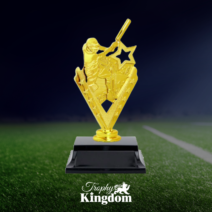 Star Cricket Trophy — Trophy Kingdom - Most Trusted Trophy Store In ...
