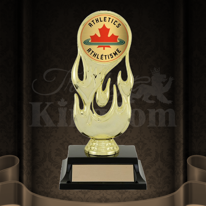 Economy Flame School Trophy — Trophy Kingdom - Most Trusted Trophy ...