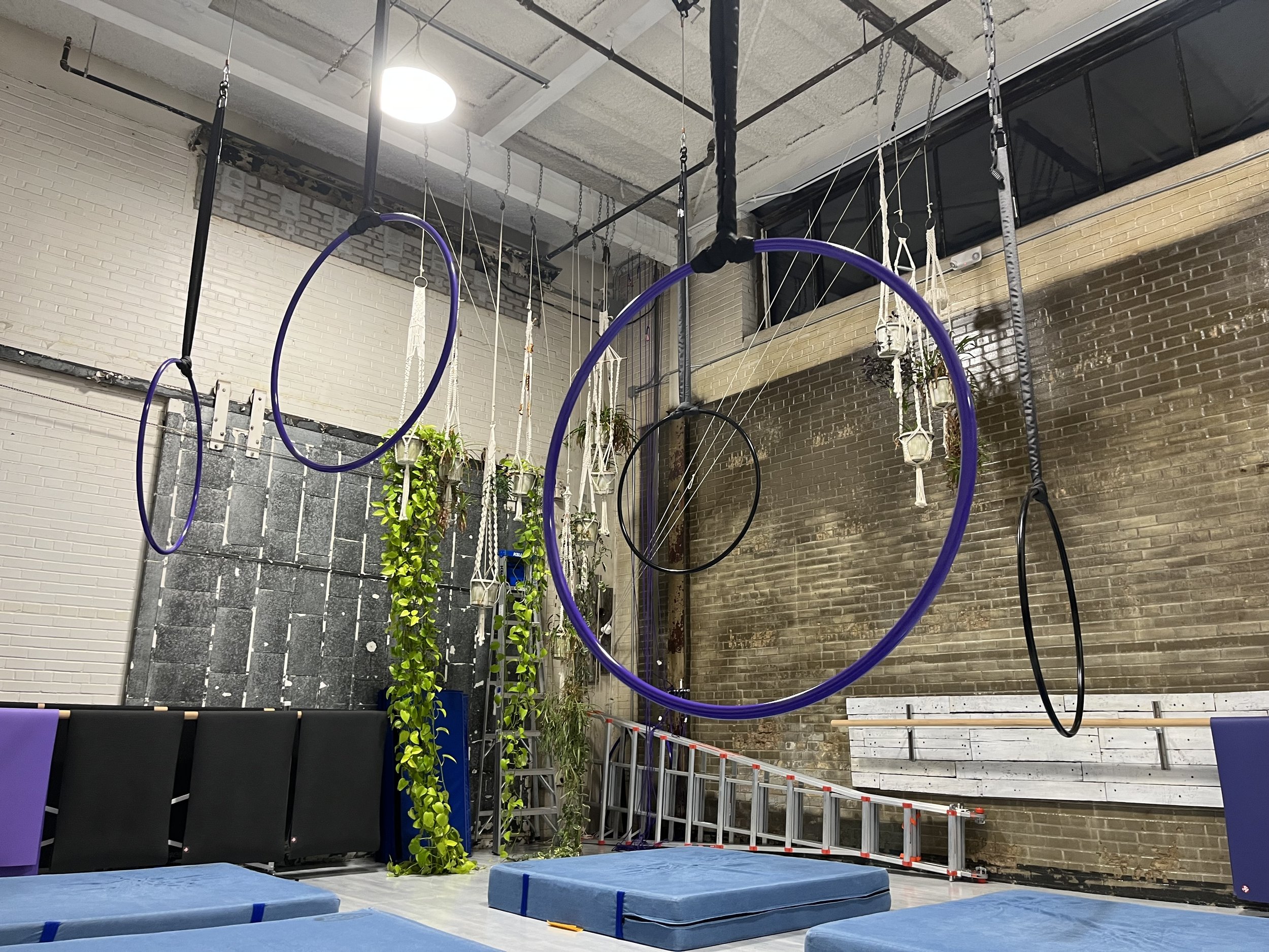 Classes — Fly Freak Studio