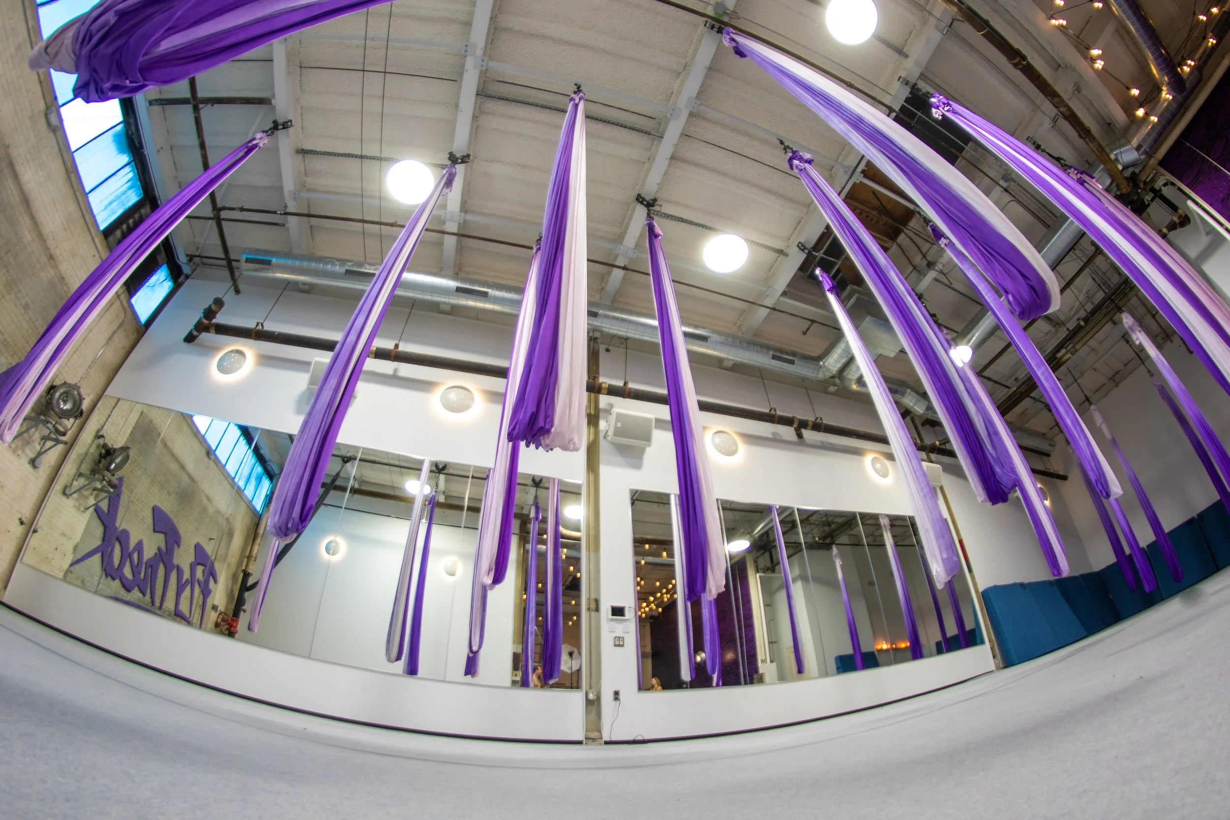 Classes — Fly Freak Studio