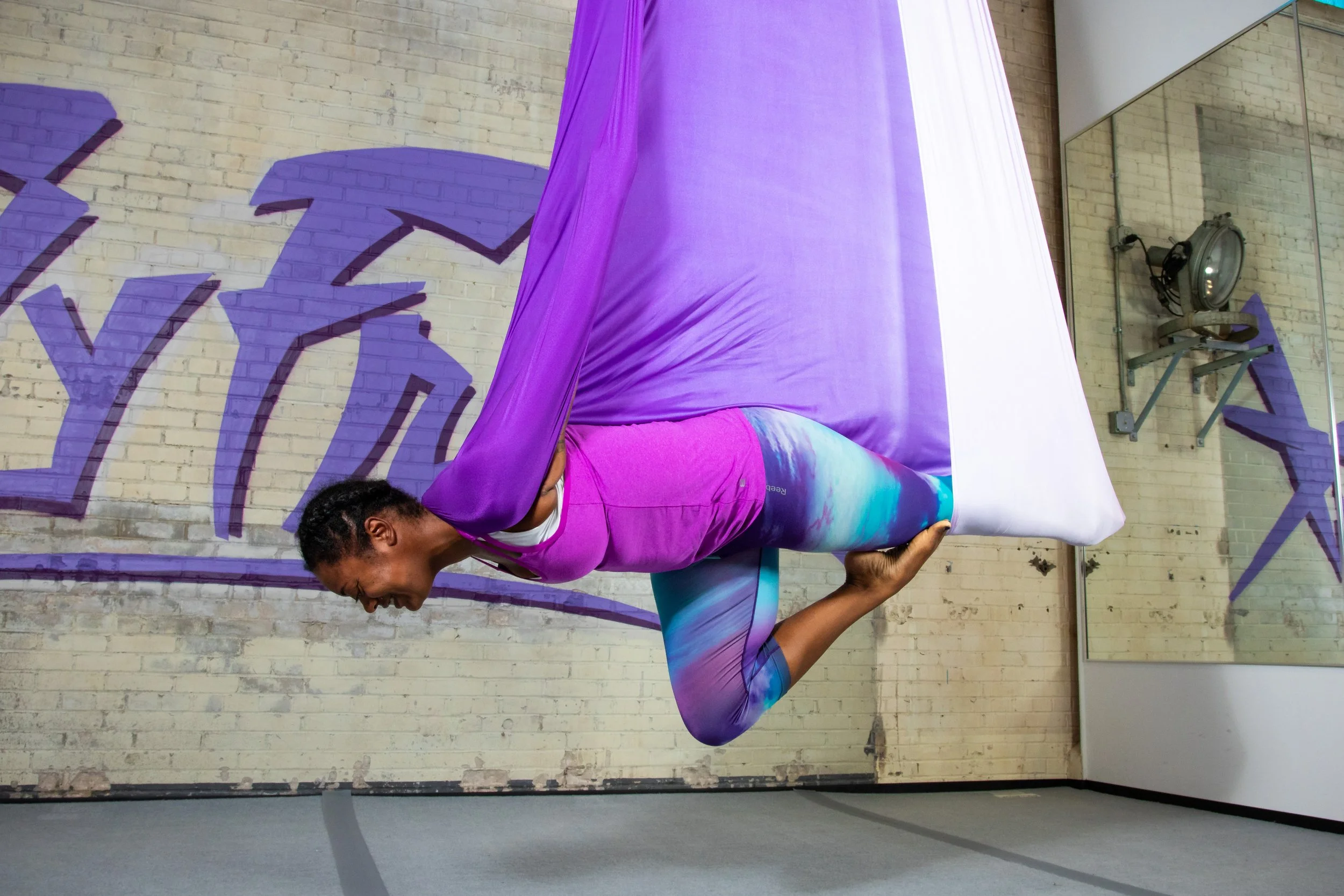 Private Parties — Fly Freak Studio