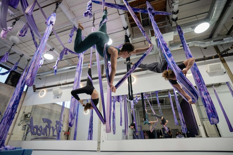 Classes — Fly Freak Studio