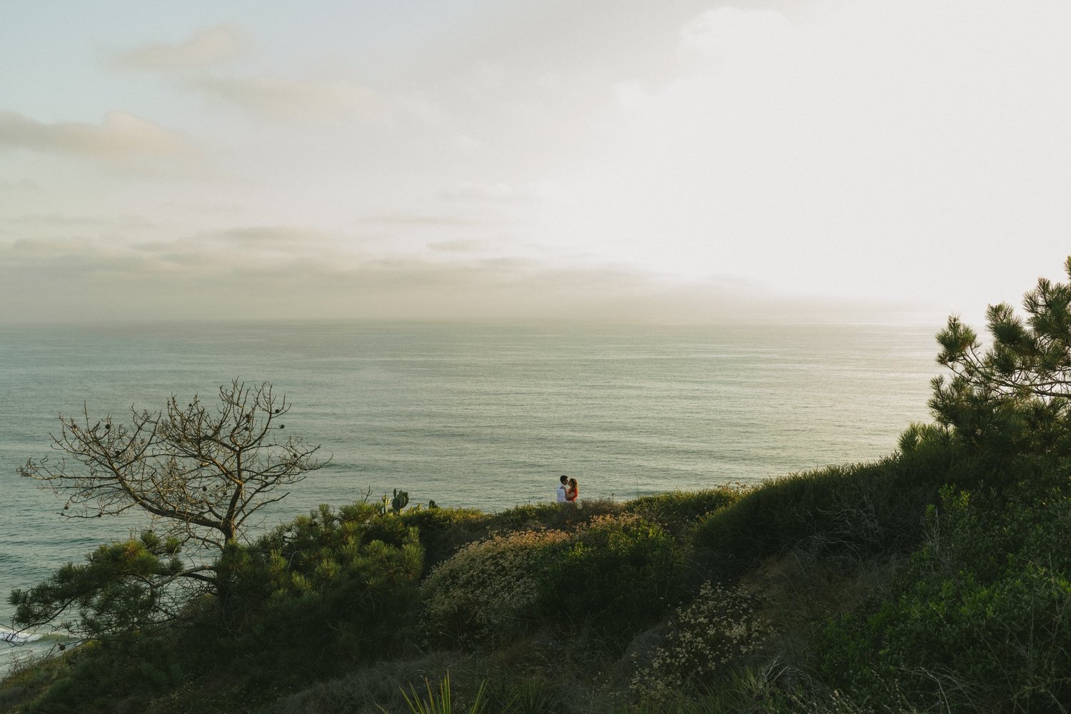 Cat Rose Photography