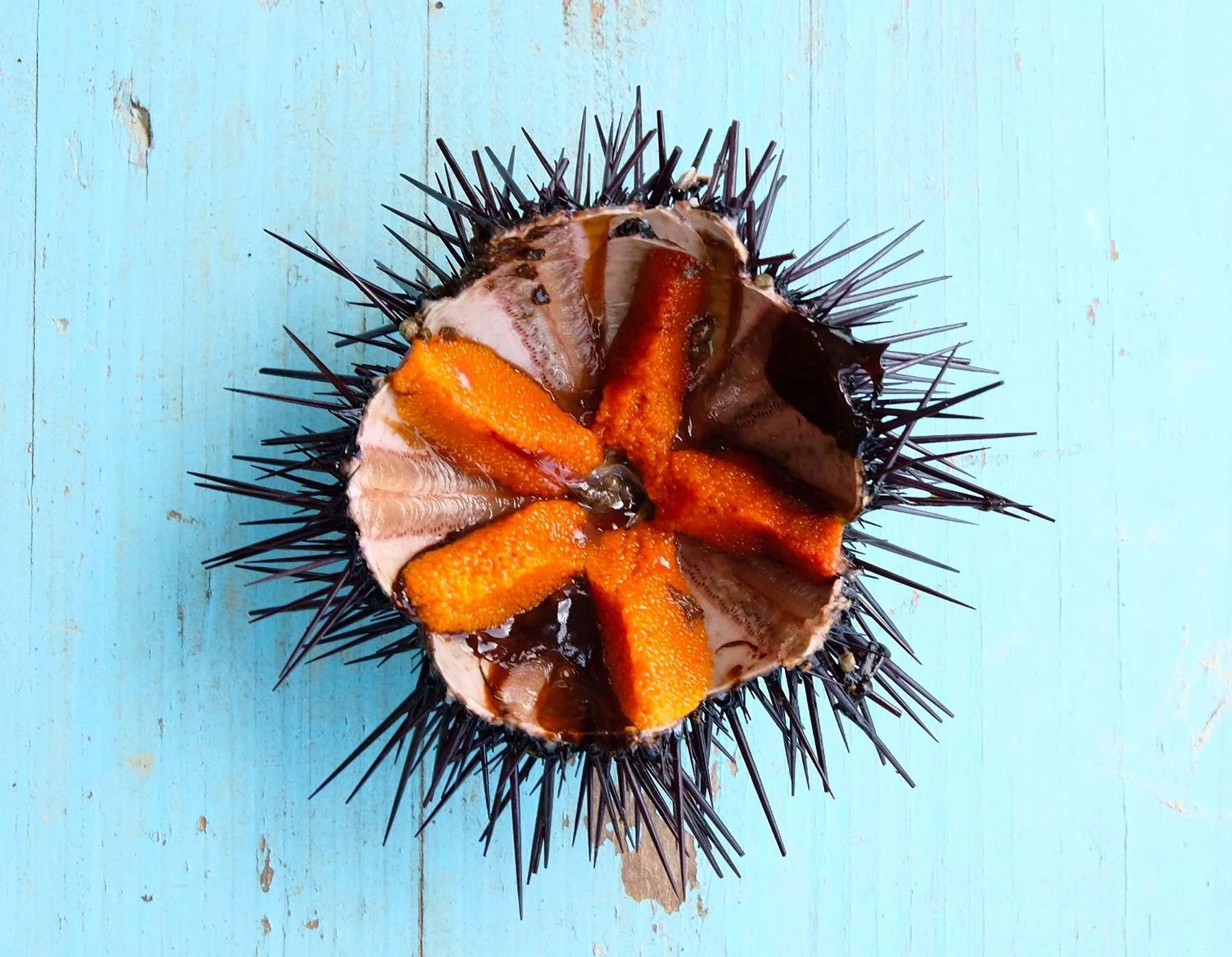 Menu — Kapari Restaurant, Paros