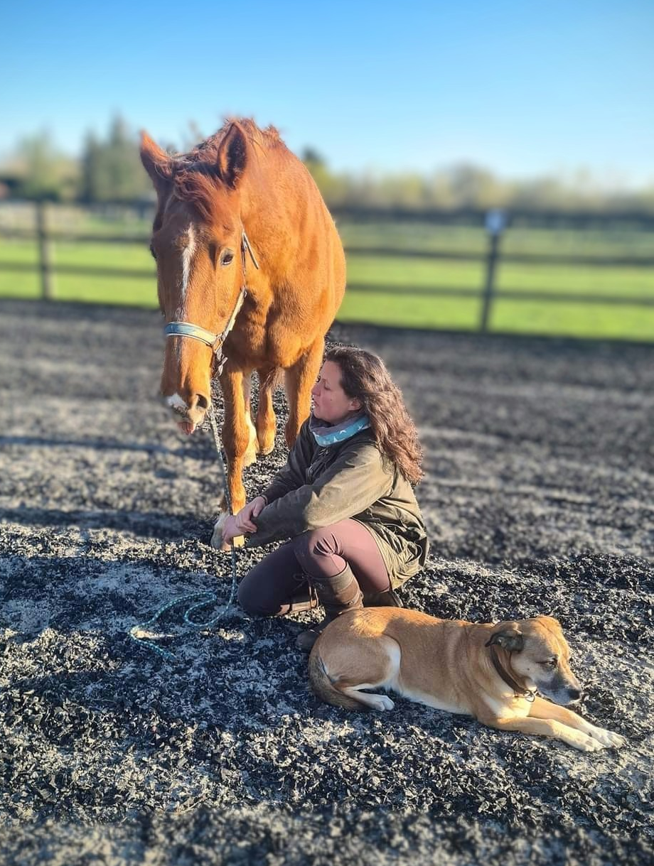 Unleashing the Power of Horses: The Balance Through Movement Method™ — Wild Voice
