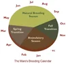 Understanding the Mare's Hormonal Cycle and Embracing Moodiness ...