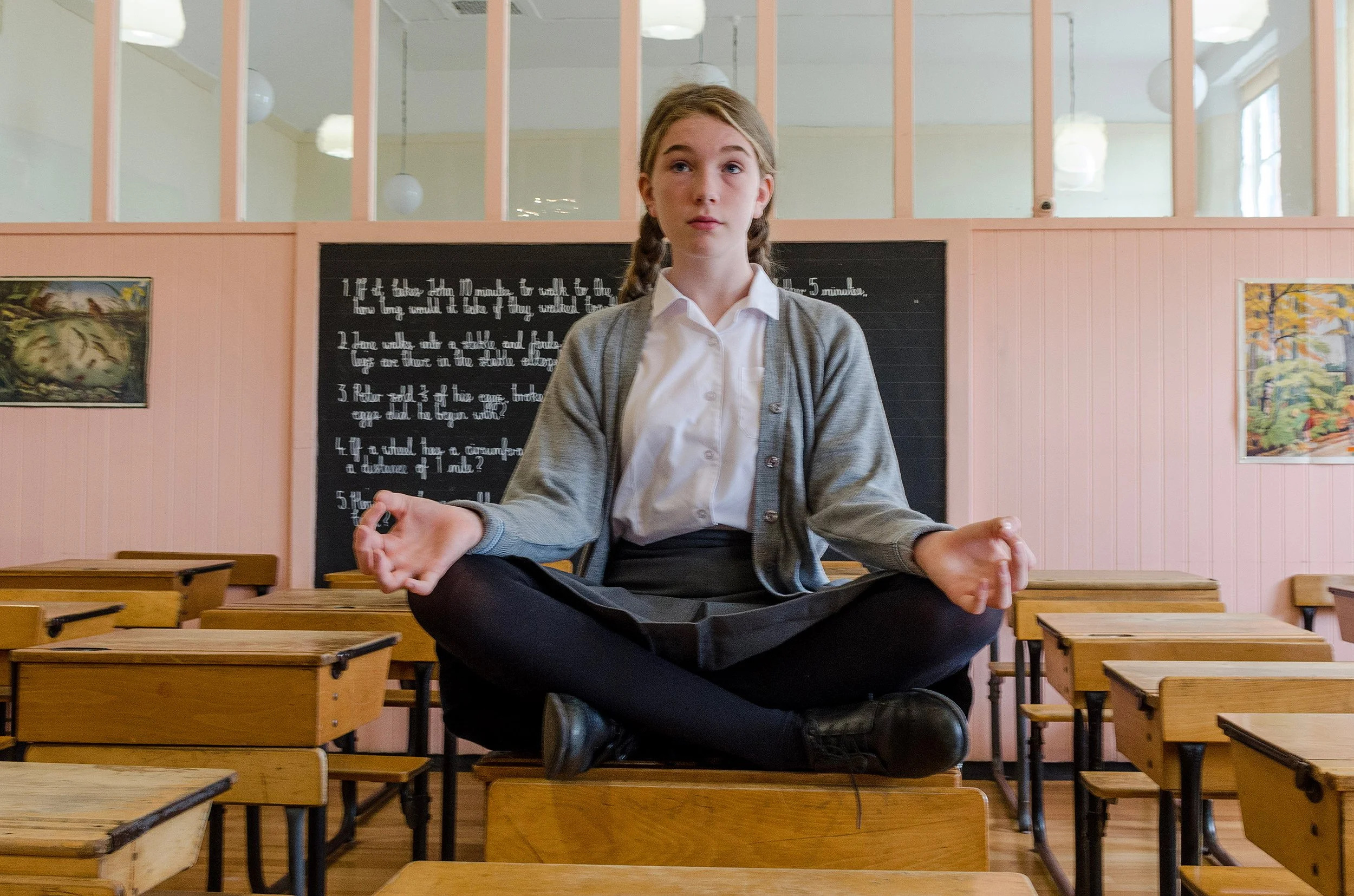 Primary Schools Yoga — The Yoga Practice