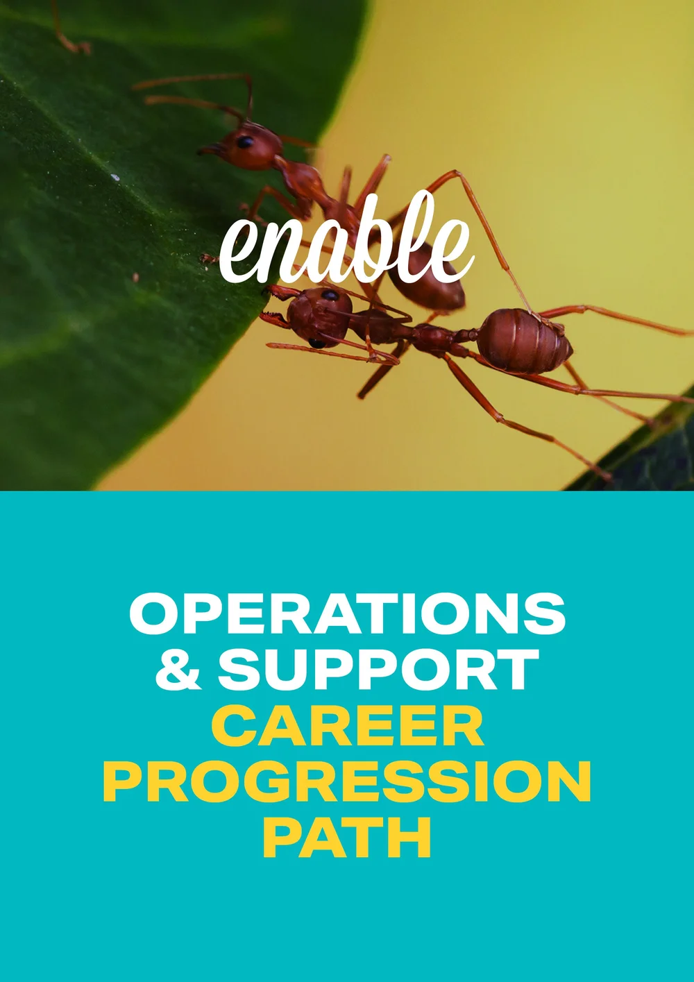 Operations & Support Career Progression Path — enable