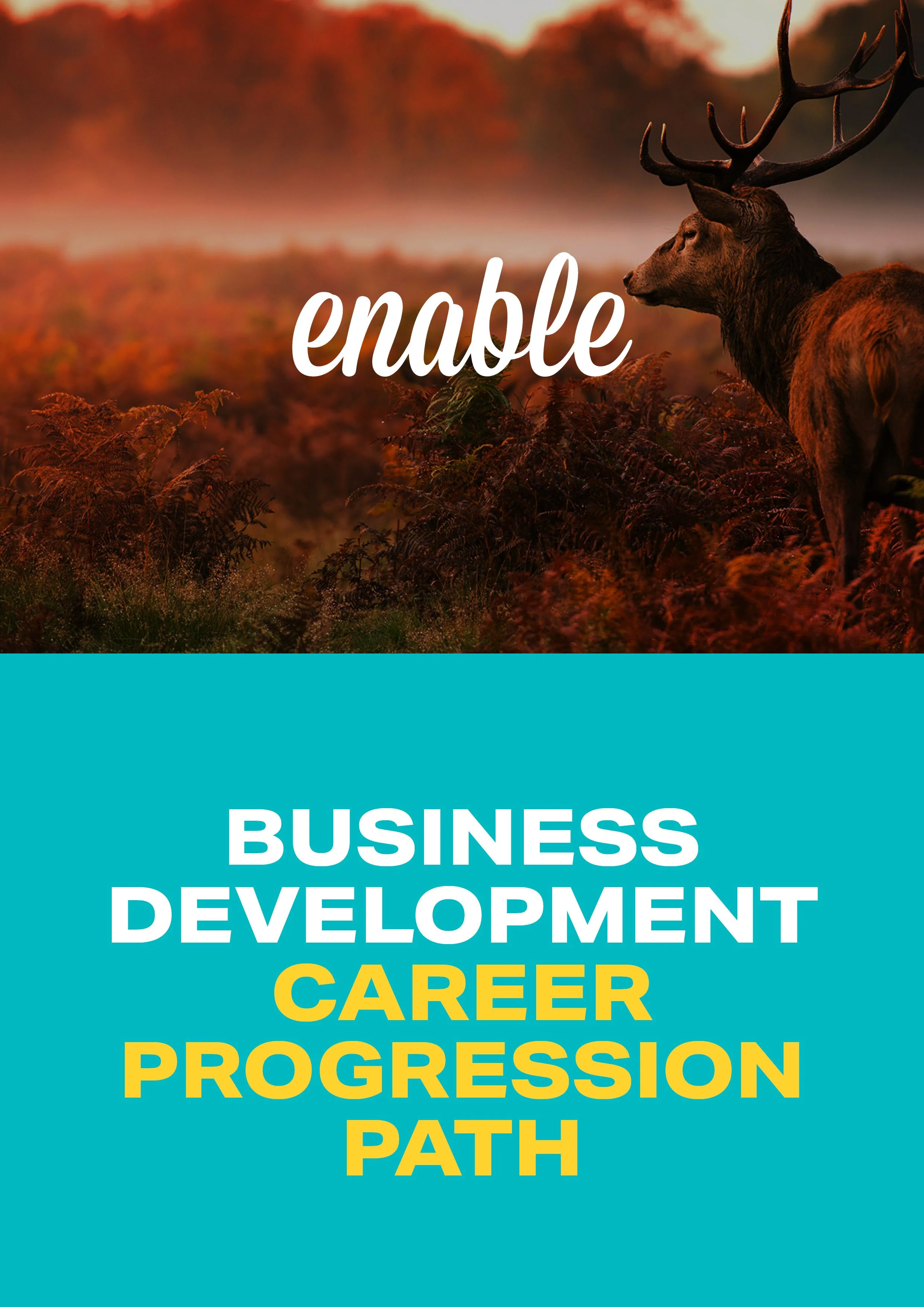 Business Career Progression Path (From BDE to Business Development ...