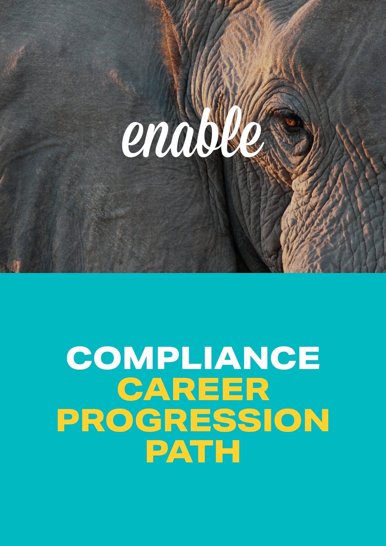 Legal Compliance Career Progression Path — enable
