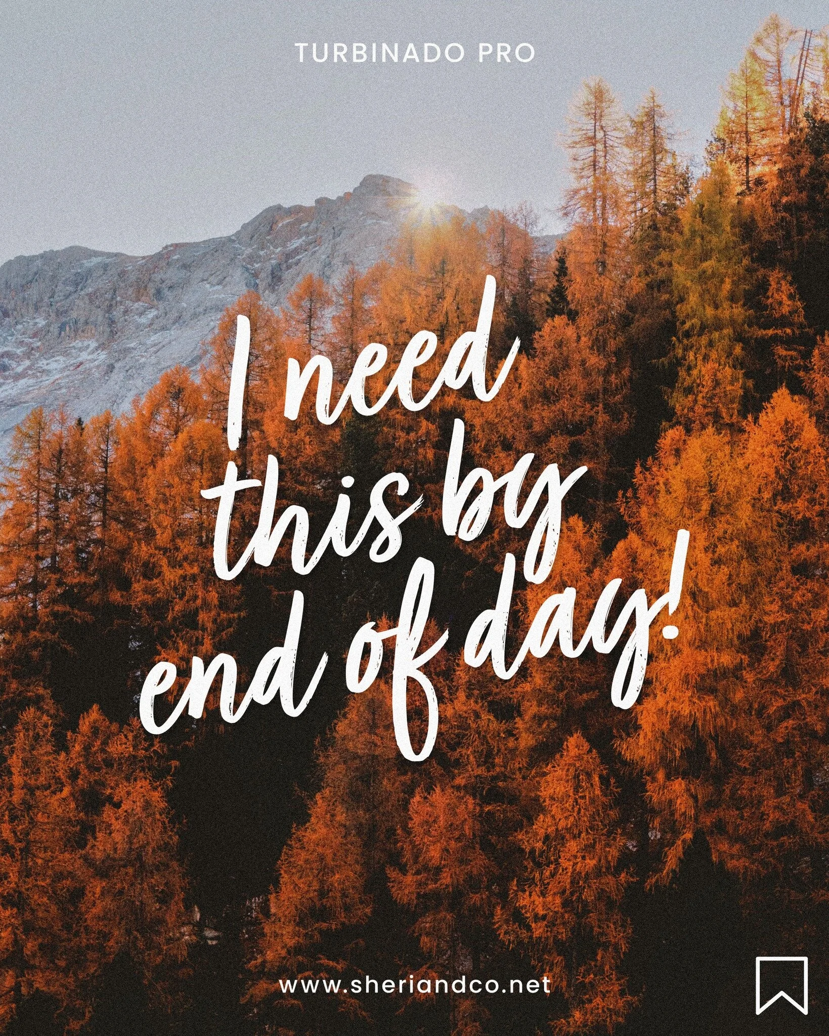 Sheri & Co | Graphic Design Studio