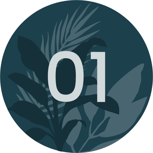 Sheri & Co | Graphic Design Studio