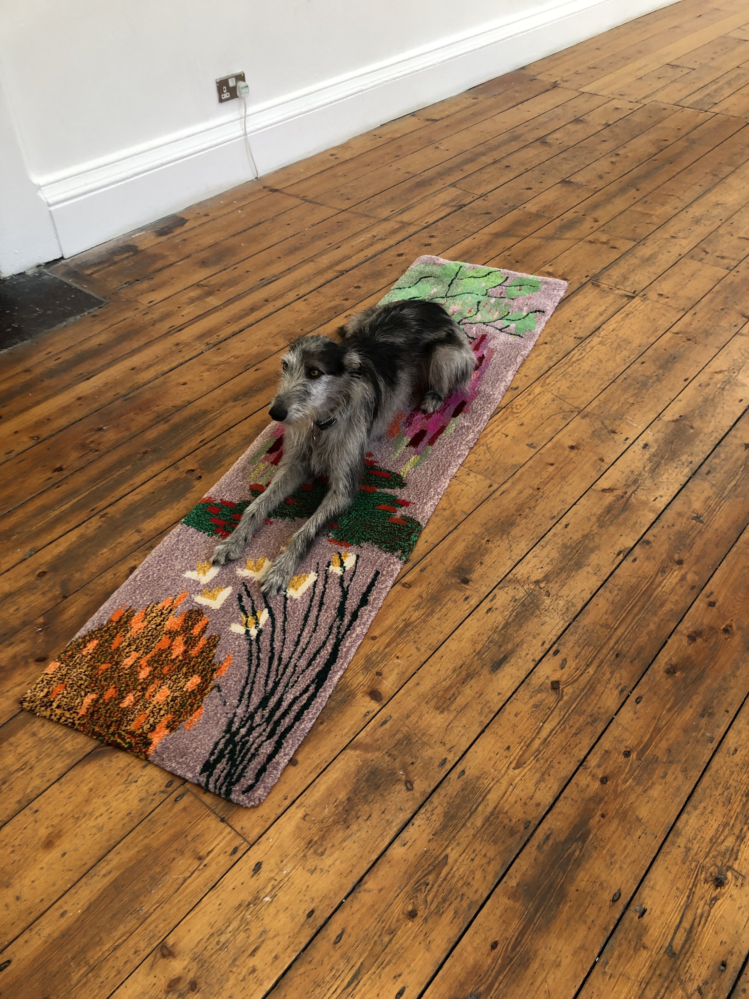 Pets love Studio Tuft rugs — Studio Tuft