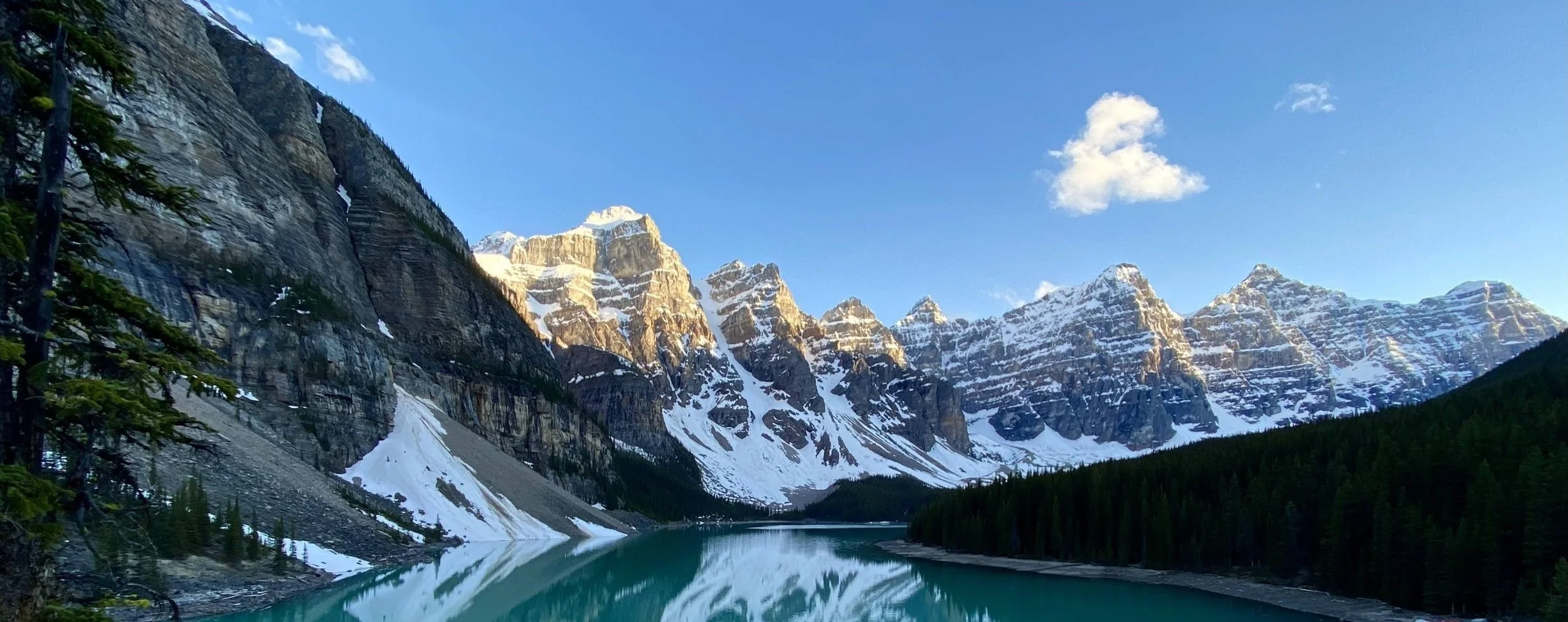 TLC Lung Diagnostics