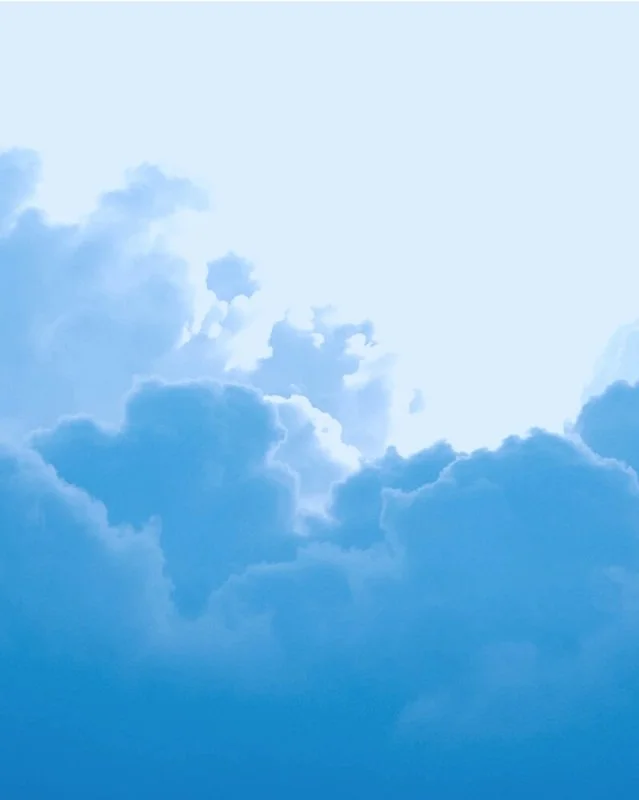 Services — TLC Lung Diagnostics