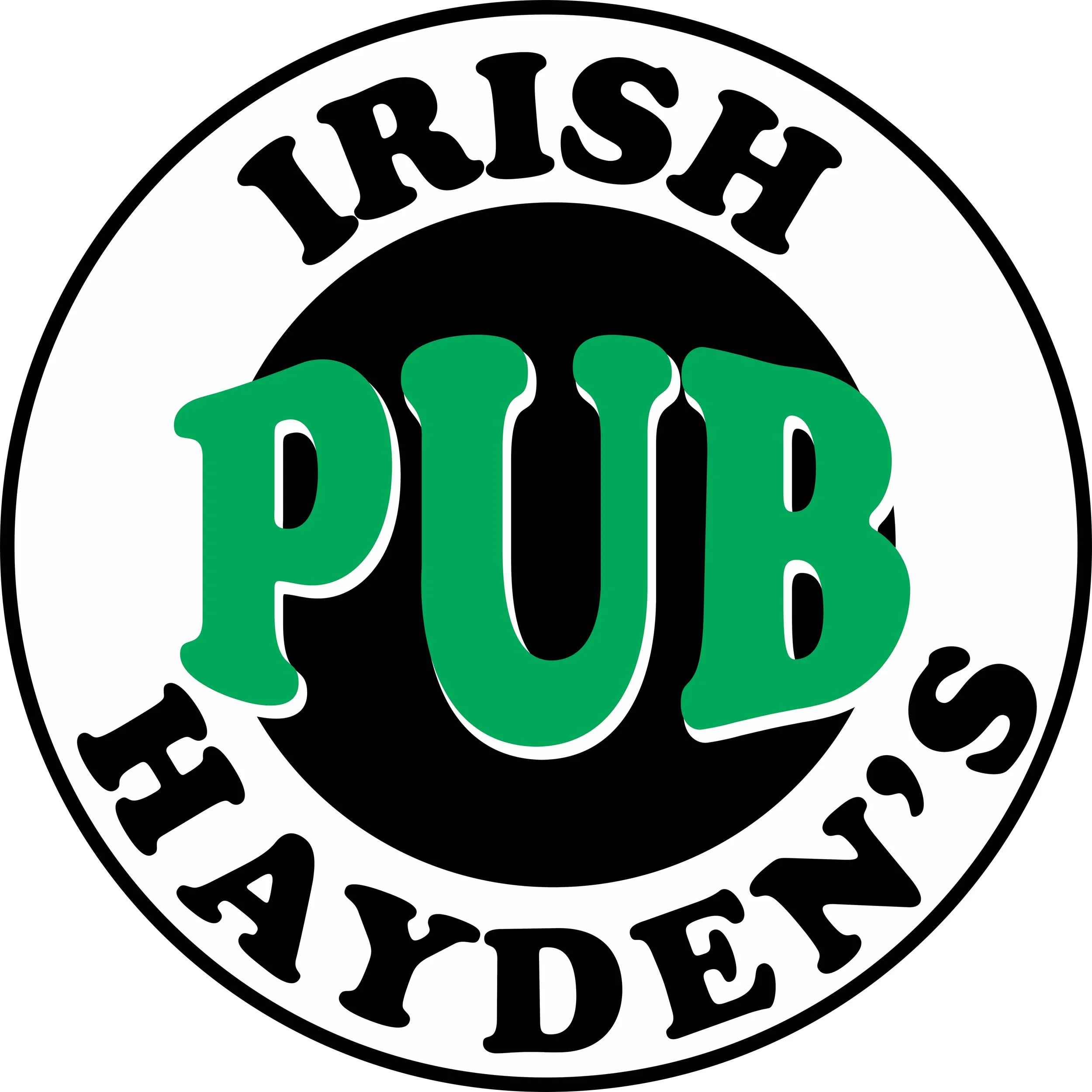 Hayden's Irish Pub - Downtown STL