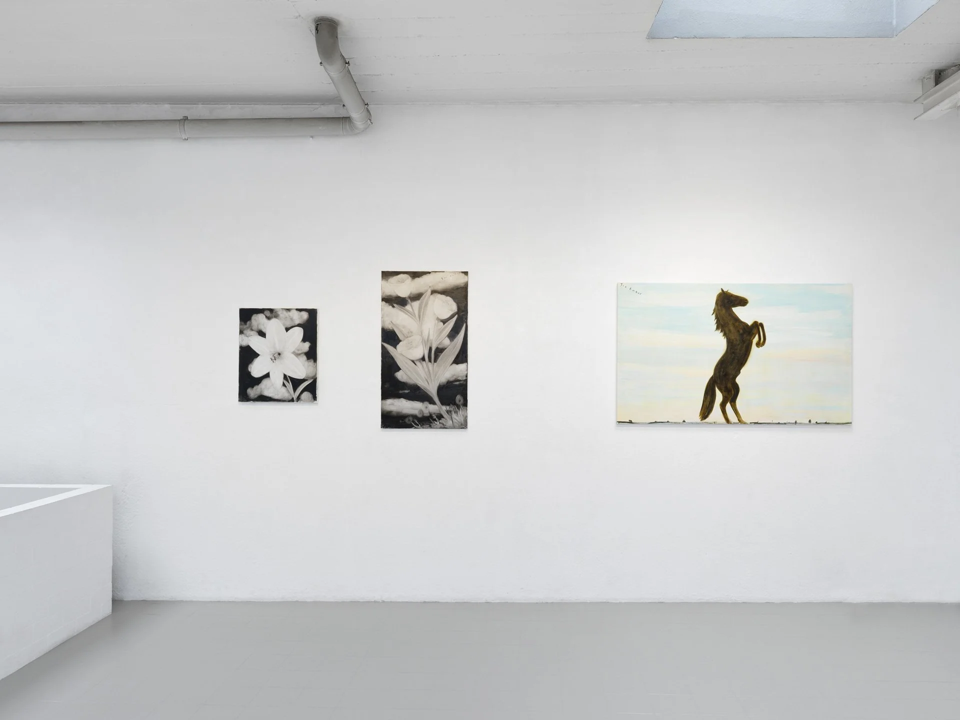 Joe Andoe — Sébastien Bertrand