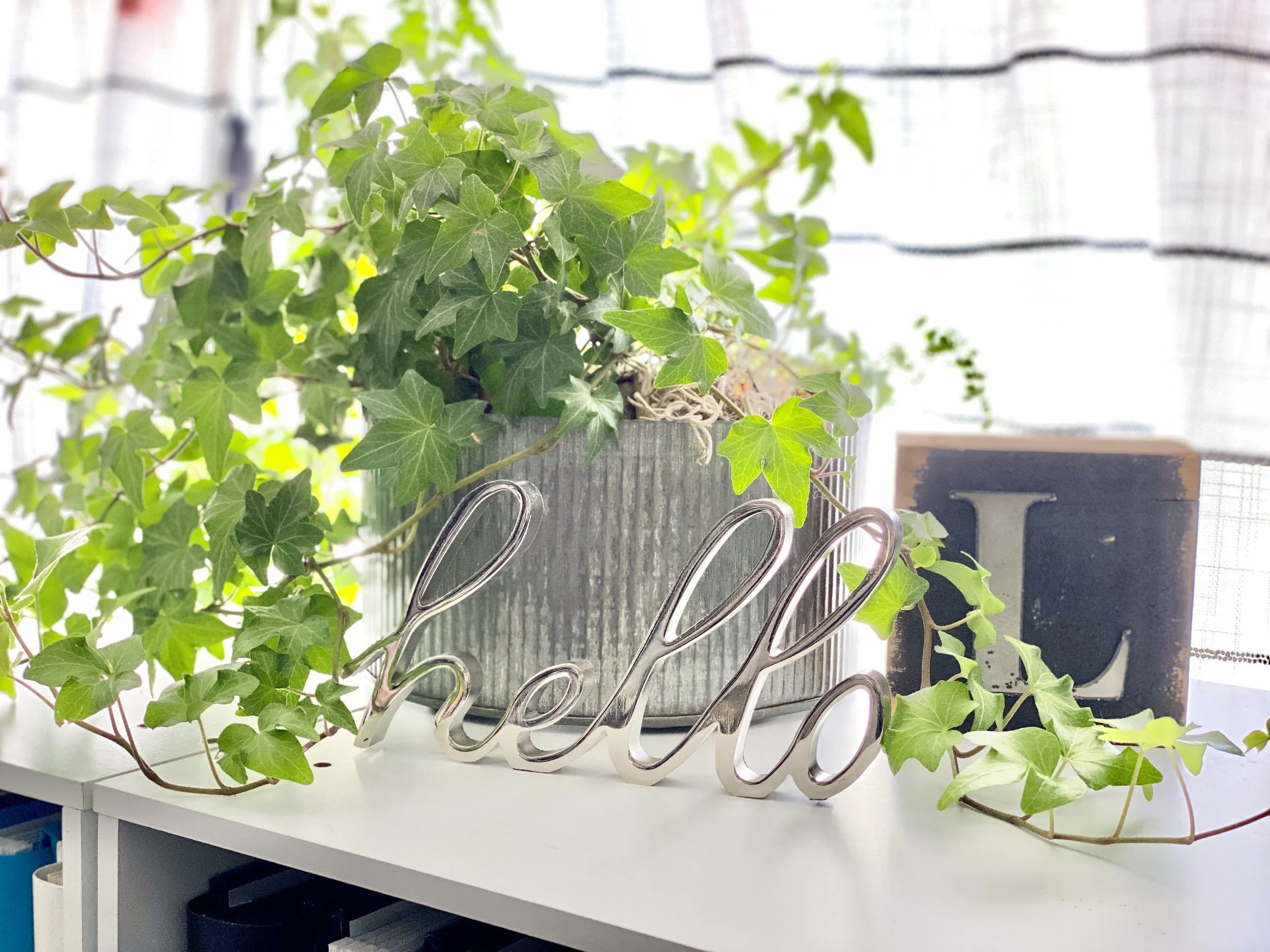 Craft Some Joy - Creative Memories Advisor - Retired Products