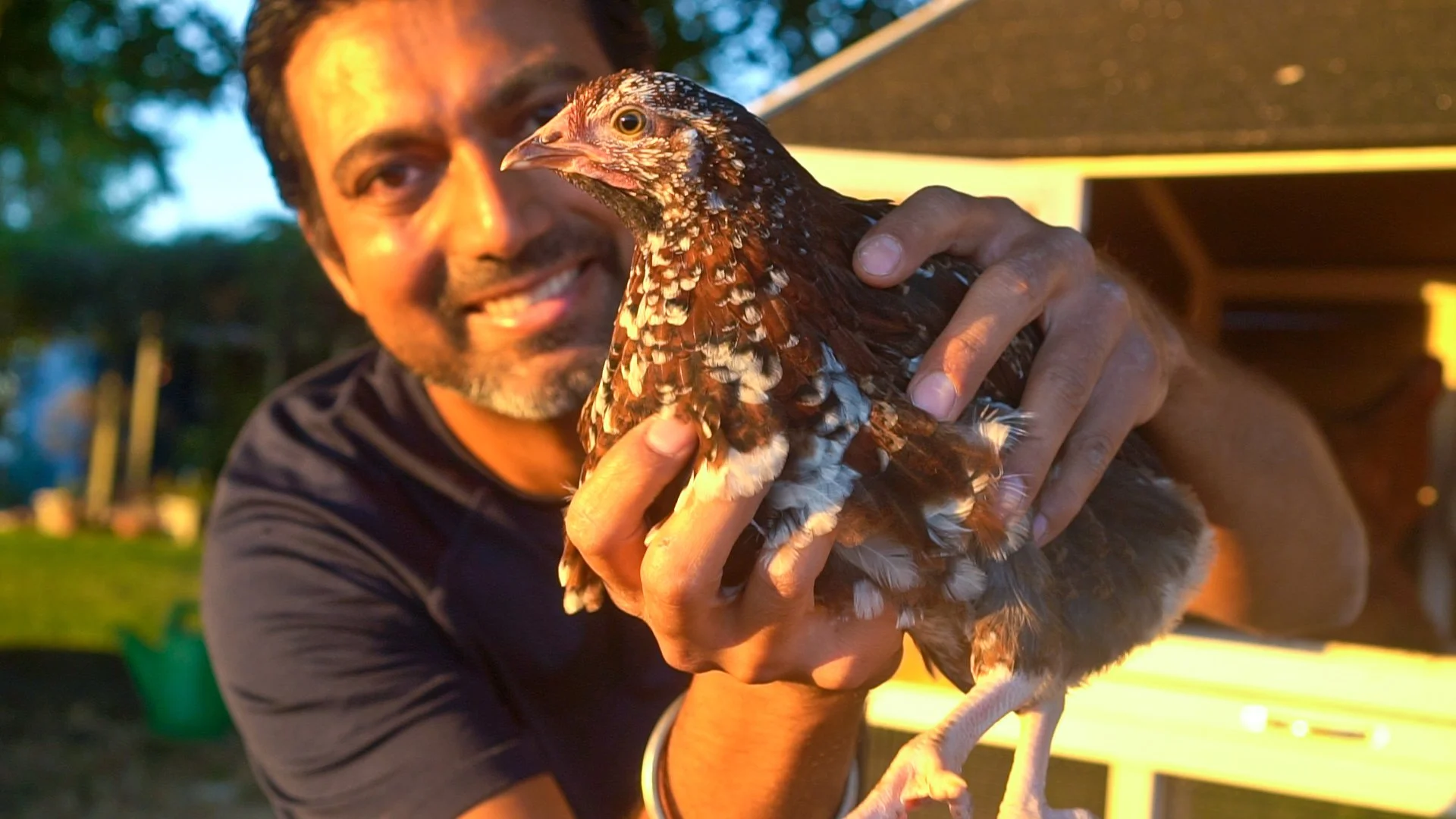 Store 2 — Daisy Creek Farms