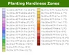 What are Gardening Zones and How Do I know my Zone? — Daisy Creek Farms