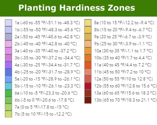 What are Gardening Zones and How Do I know my Zone? — Daisy Creek Farms