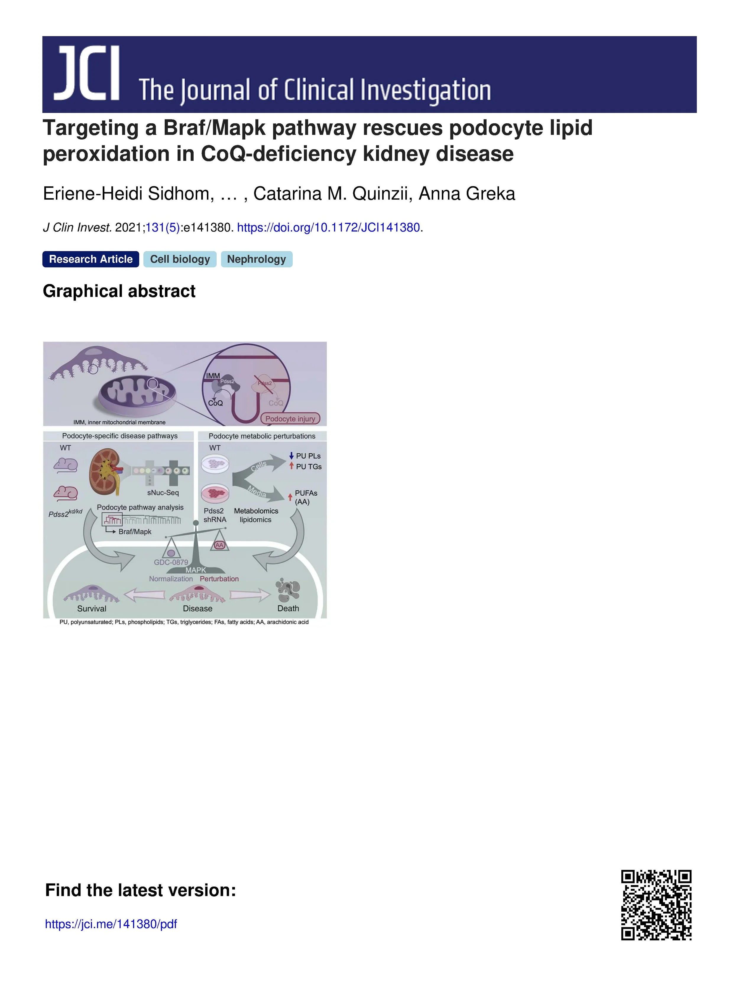 Publications — Greka Lab