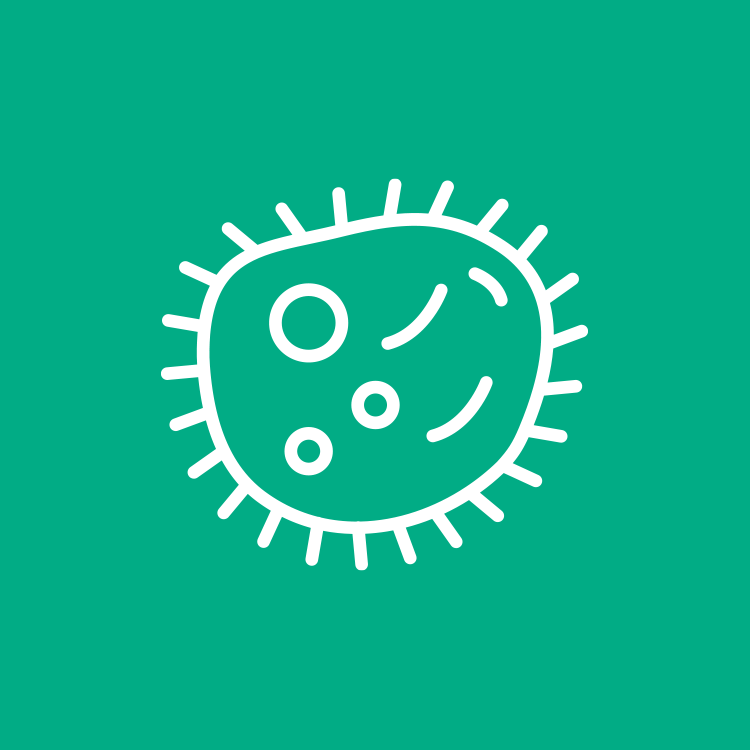 Research — Greka Lab