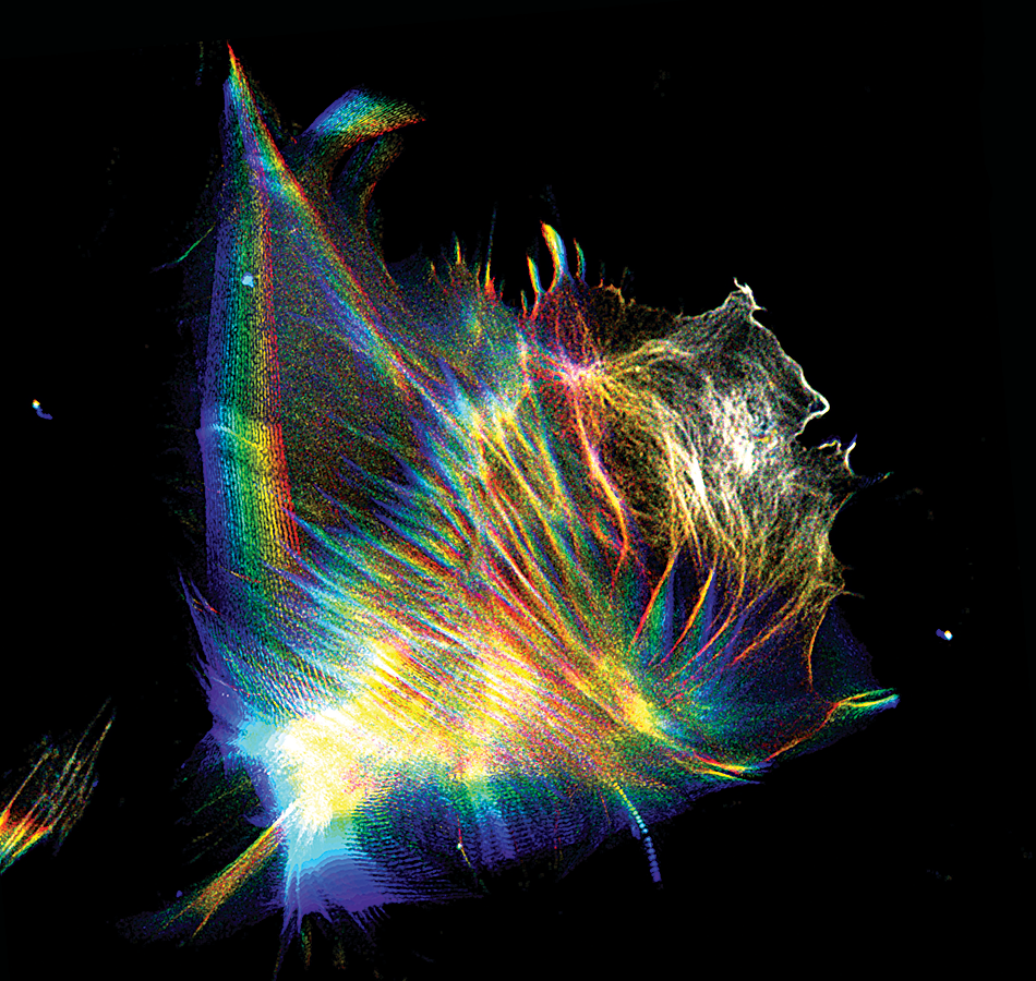 Research — Greka Lab