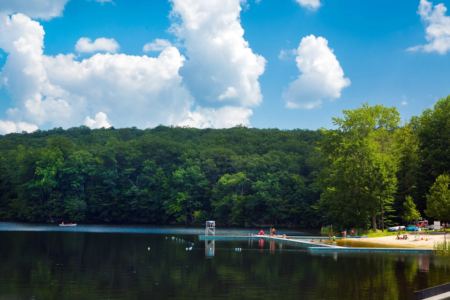 Merriwood — Camp Morty