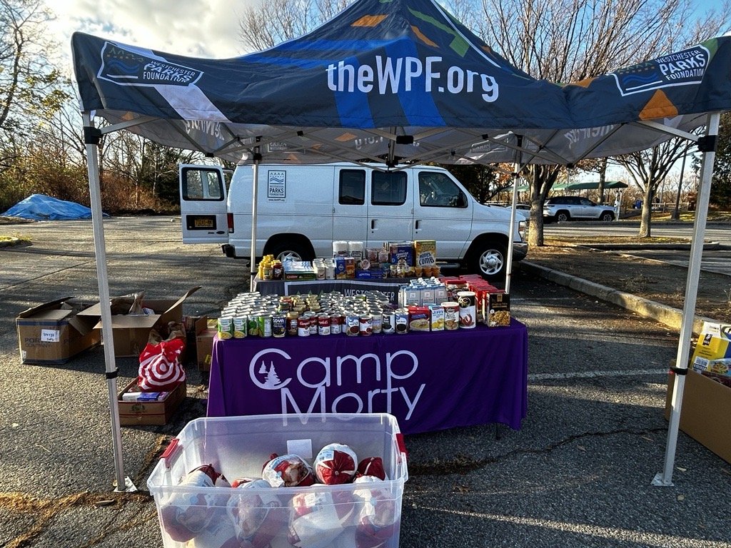 General 2 — Camp Morty