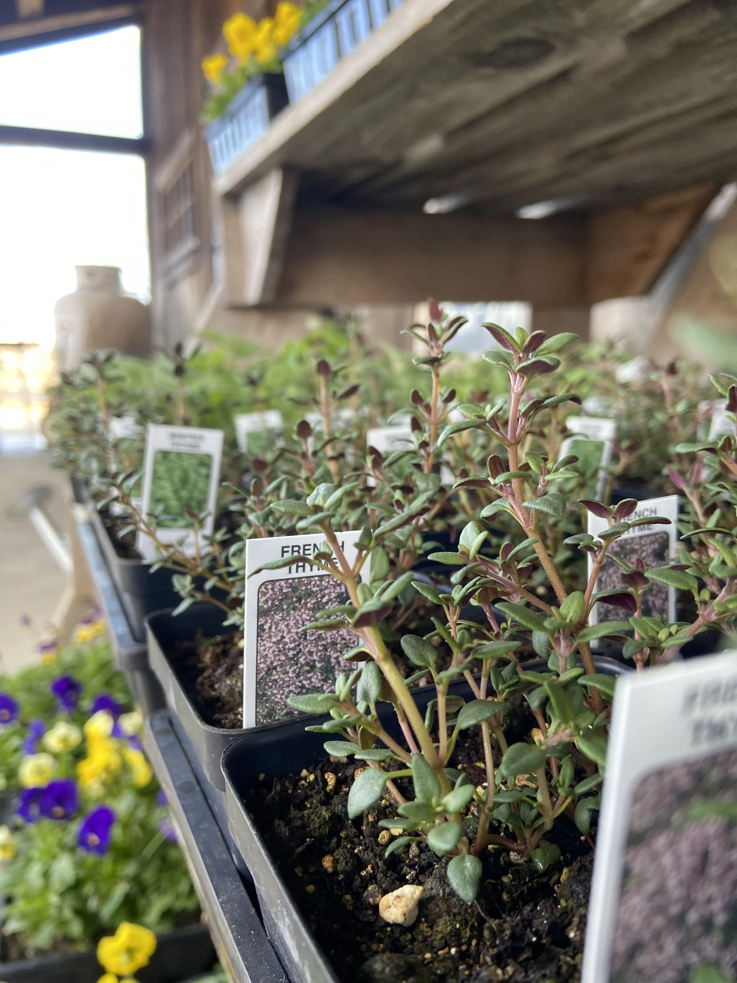 Availability — Atlas Farm Store