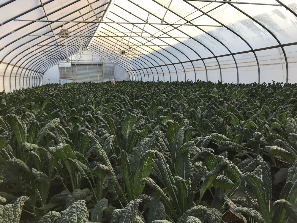 About Us — Atlas Farm Store