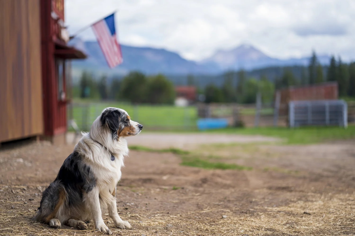 Bears Ranch - Durango, Colorado