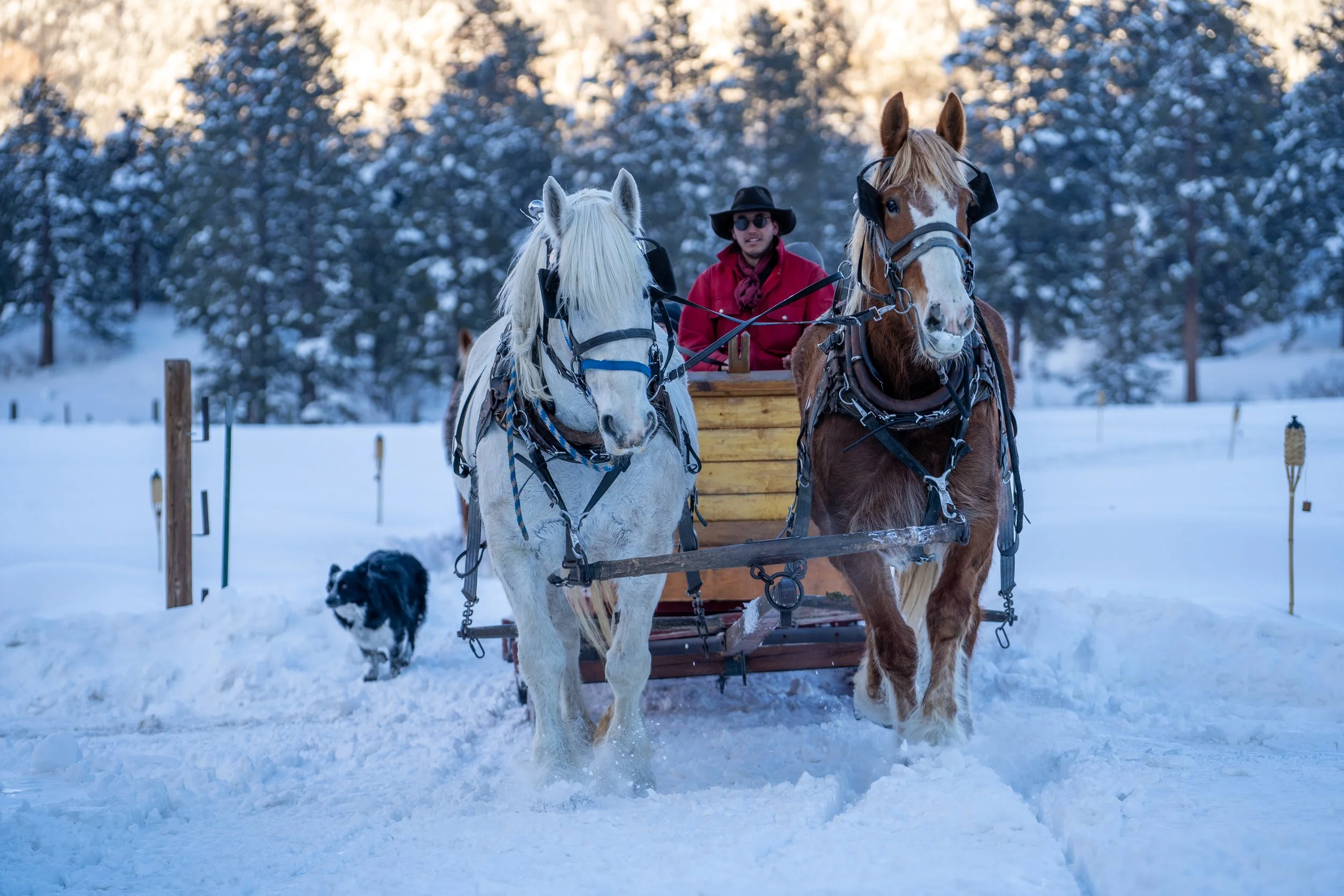 Bears Ranch - Durango, Colorado