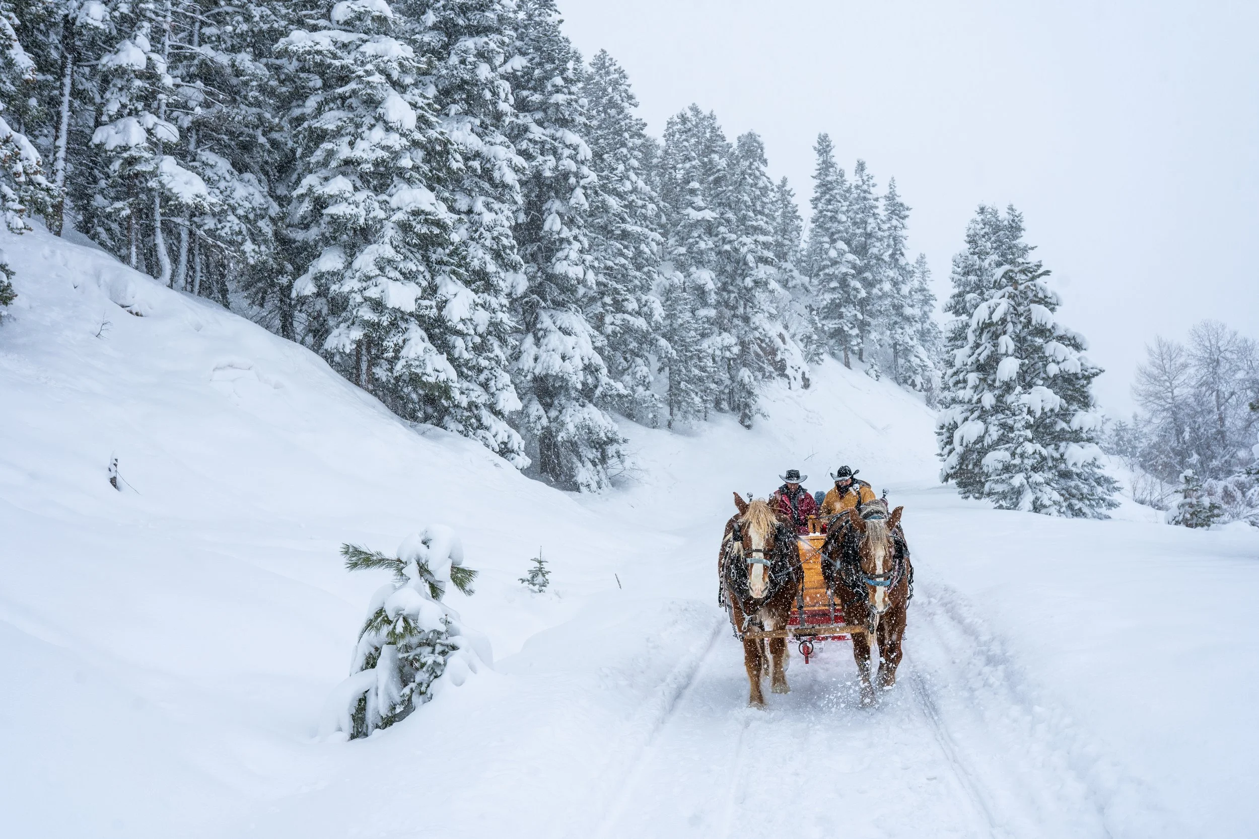 Bears Ranch - Durango, Colorado