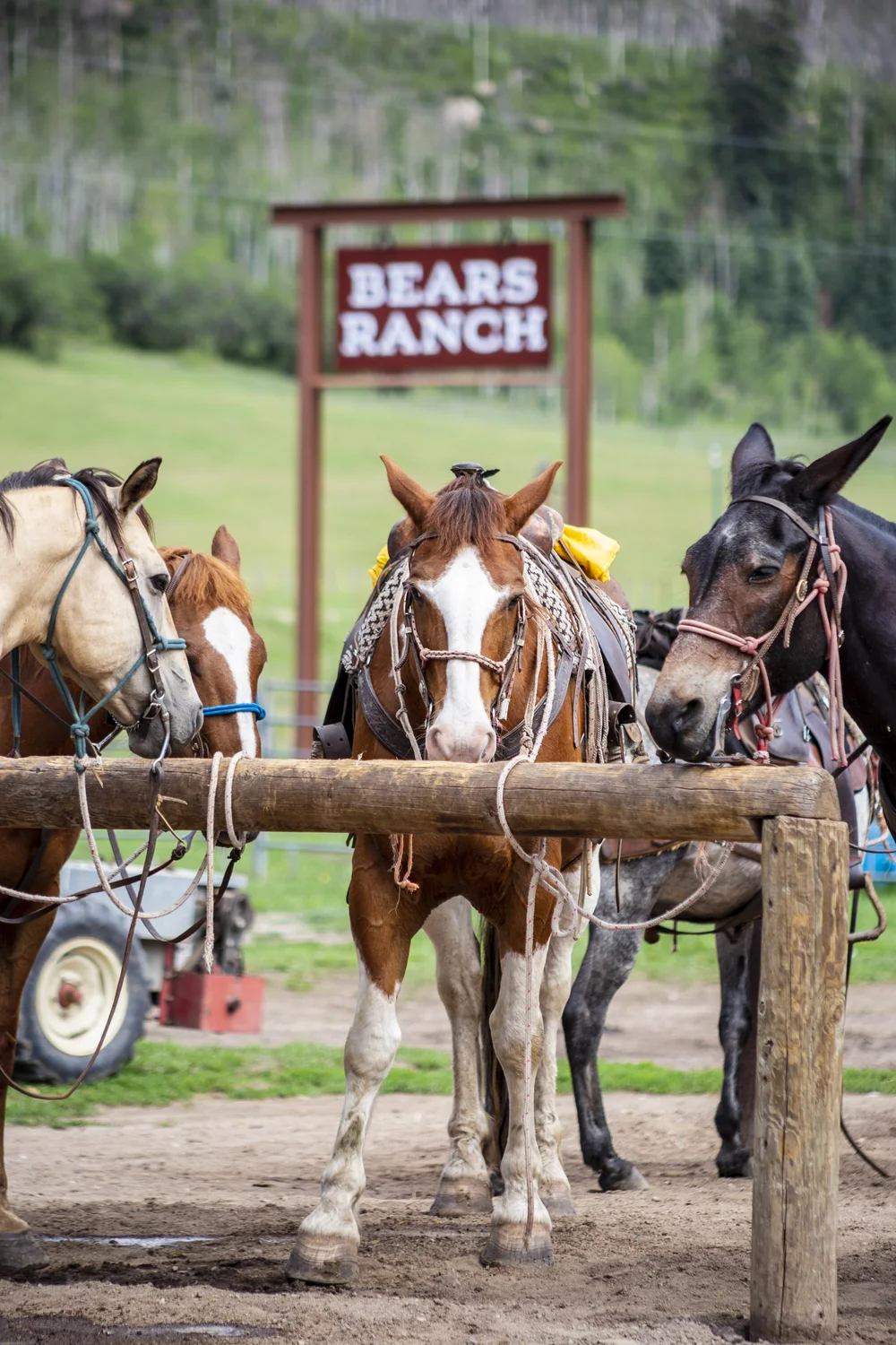 Bears Ranch - Durango, Colorado