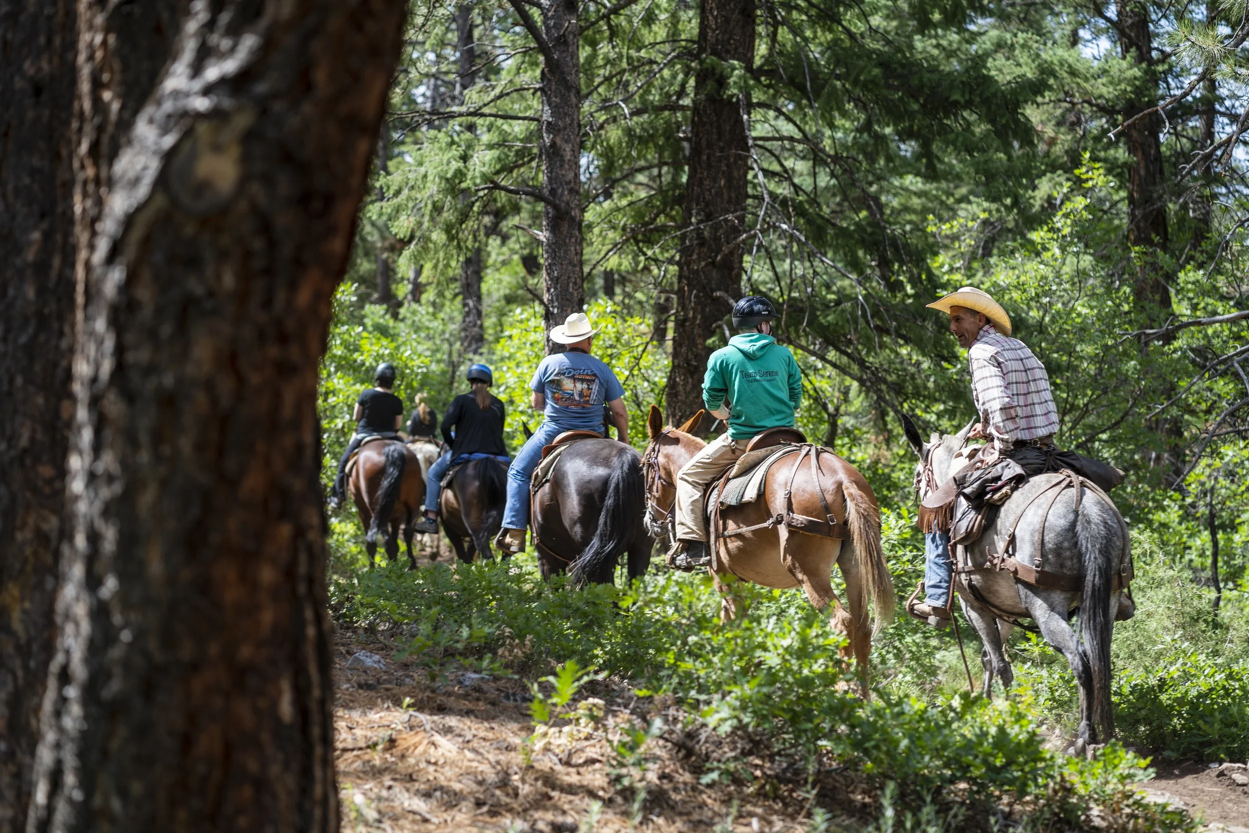 Trail Rides — Bears Ranch - Durango, Colorado