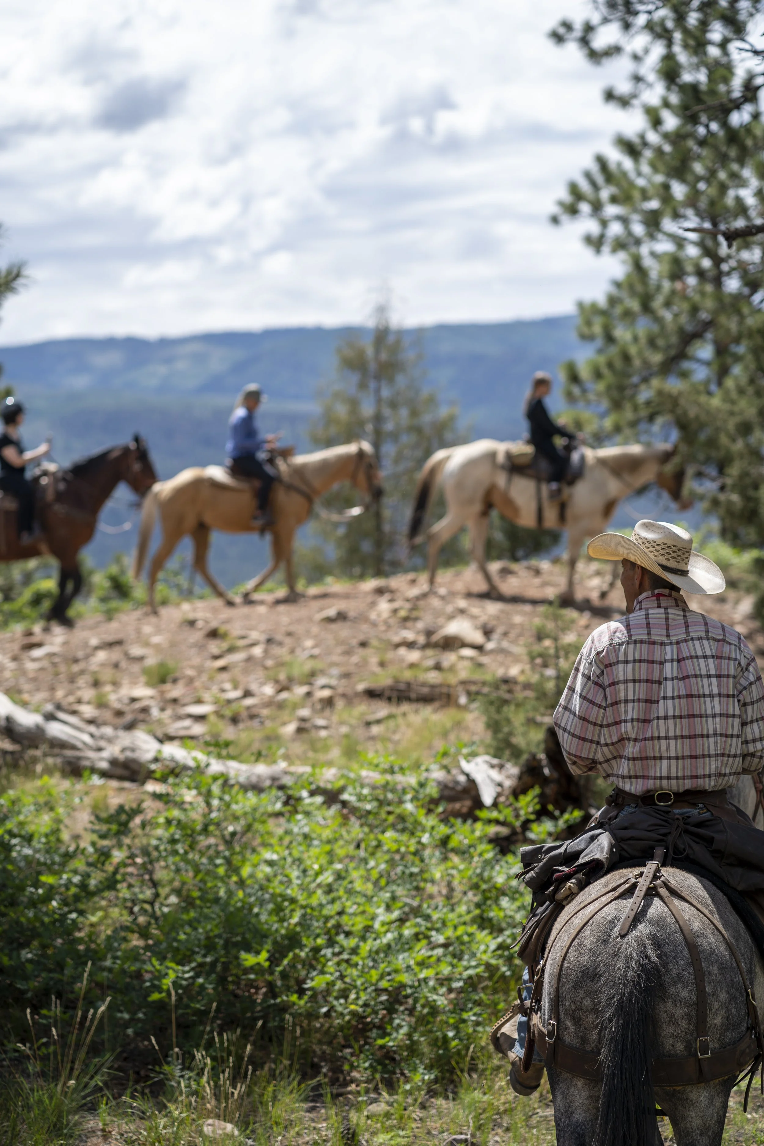 Bears Ranch - Durango, Colorado