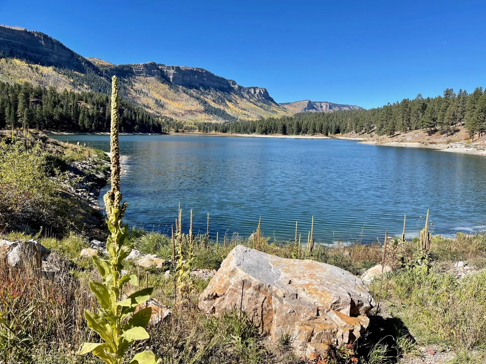 Trail Rides — Bears Ranch - Durango, Colorado