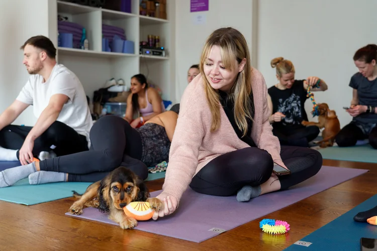 About Us | Puppy Yoga Benefits — Pups Yoga