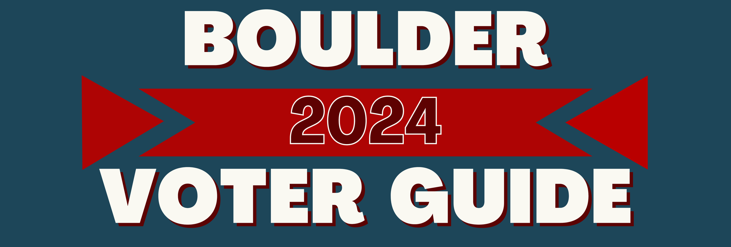 2024 Election Voter Guide