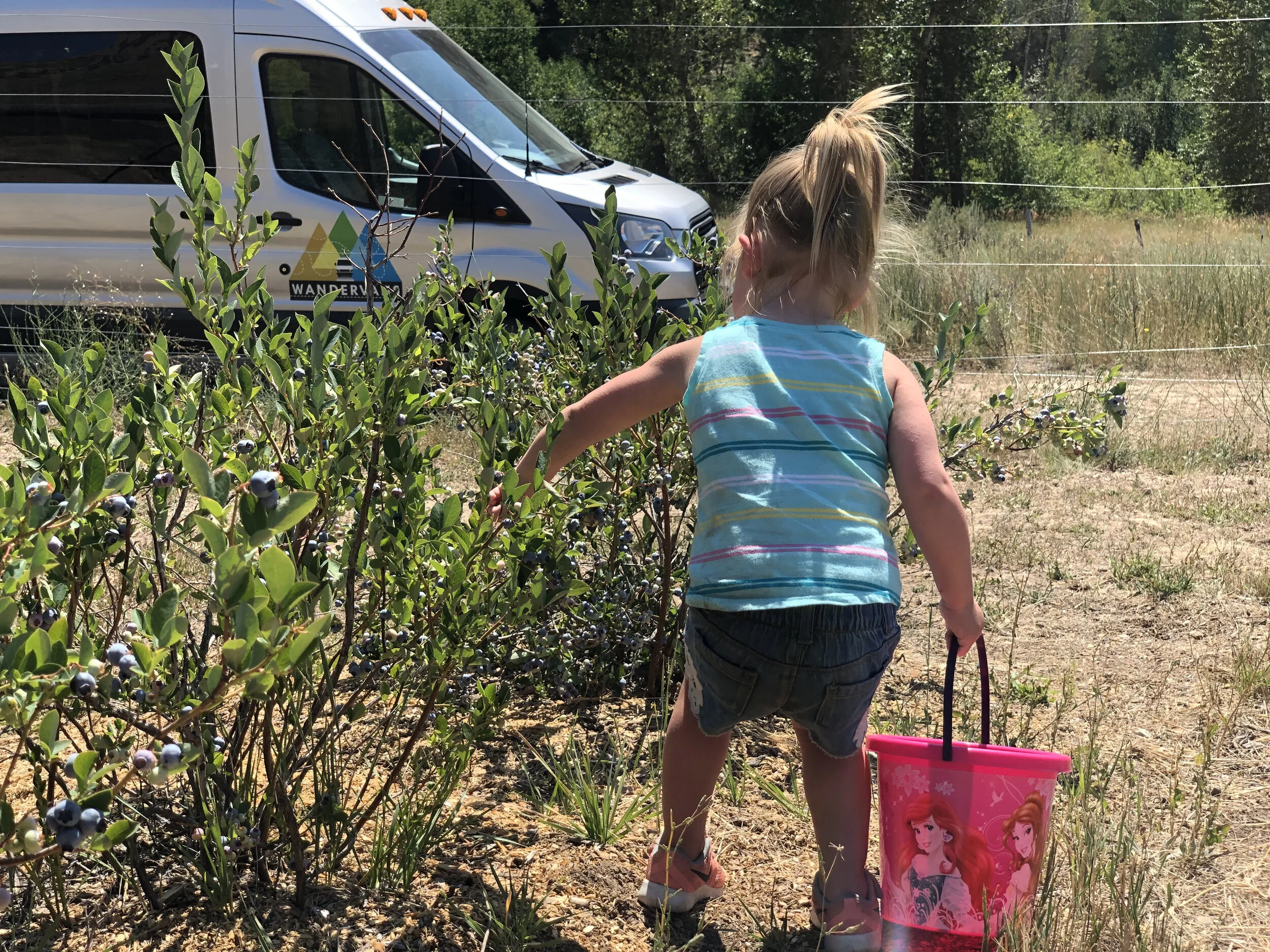 A Family Adventure to Pine and Featherville — Wandervans