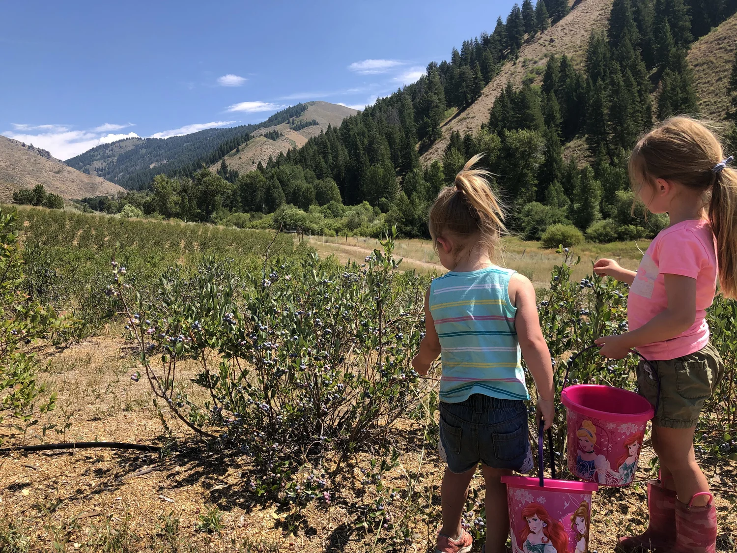 A Family Adventure to Pine and Featherville — Wandervans